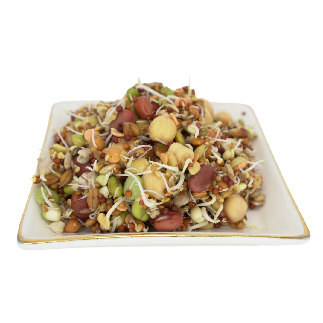 The fool proof method for sprouting seeds for parrots – Mikey and Mia