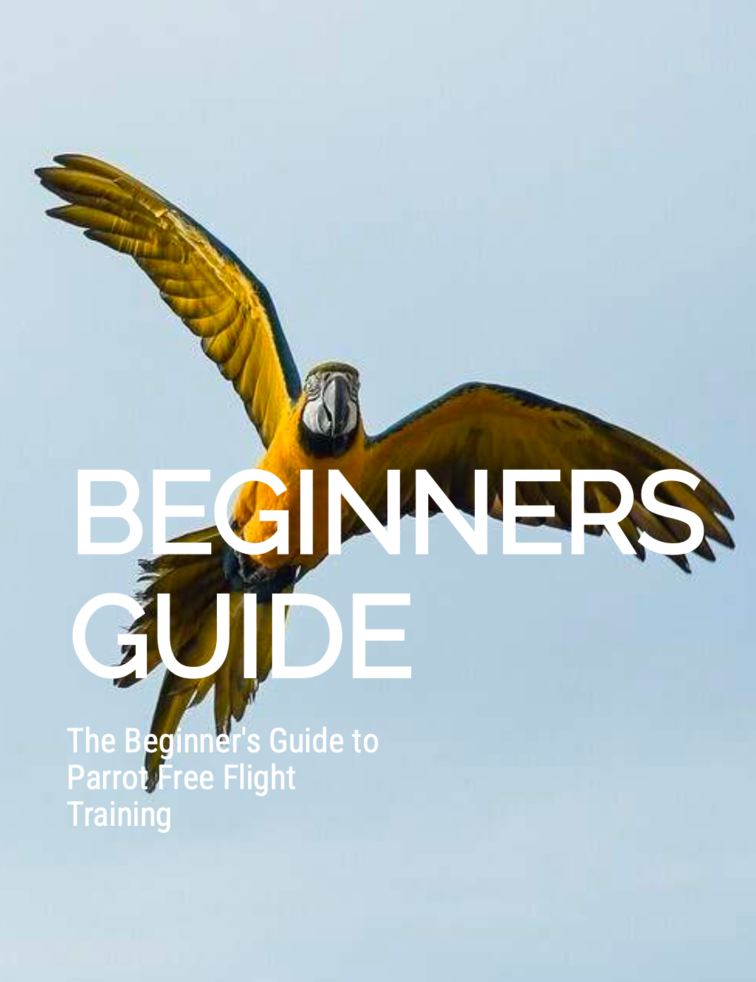 The Beginners Guide to Free Flight Training – Mikey and Mia