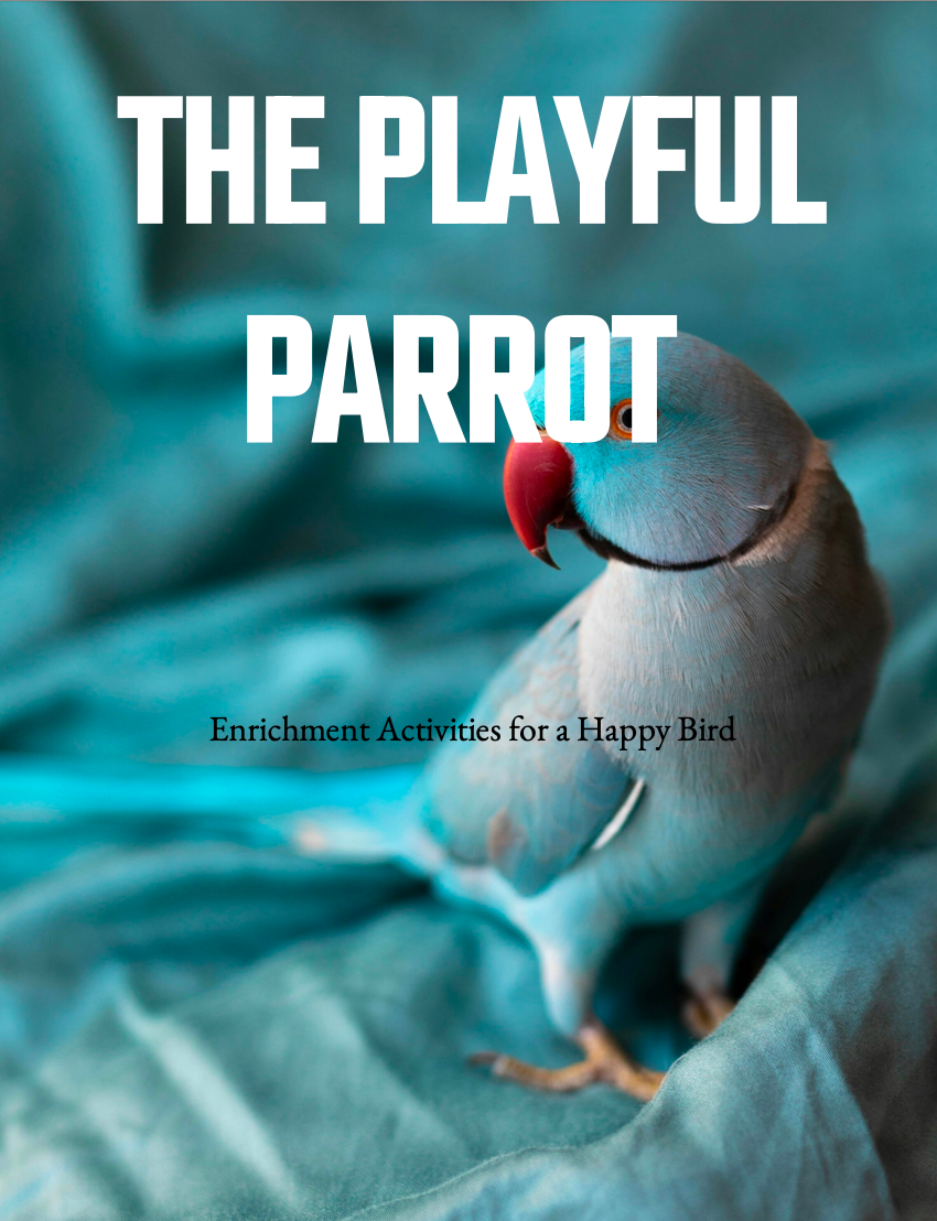 The Playful Parrot: Enrichment Activities for a Happy Bird – Mikey and Mia