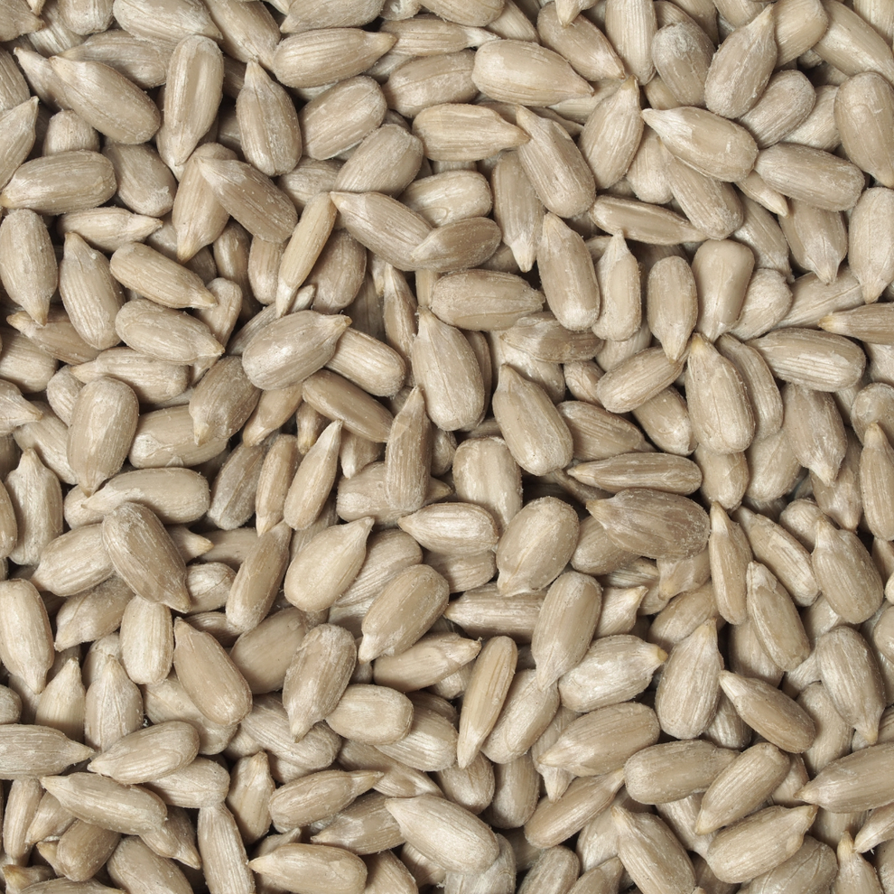 Sunflower Seeds 500g – Mikey and Mia