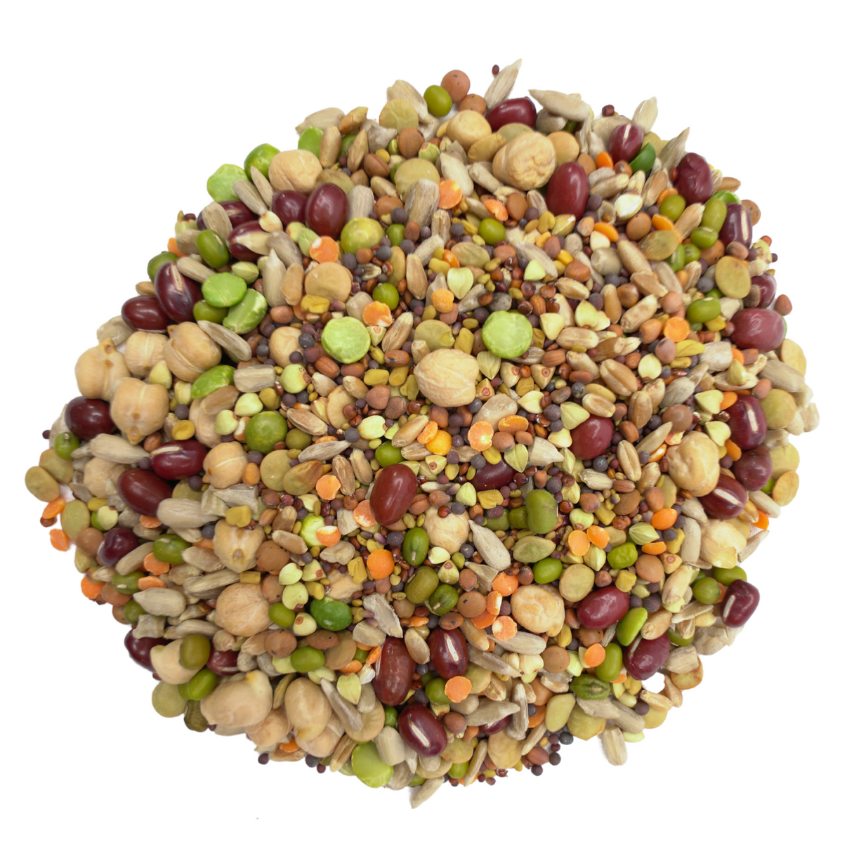 Super Sprouts - 100% Organic Sprouting Mix For All Sized Parrots ...